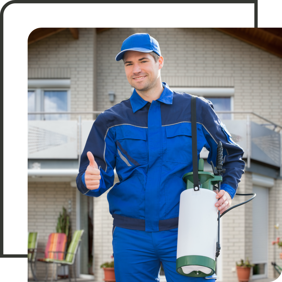About Essential Pest Control | Commercial Pest Control Treatment ...